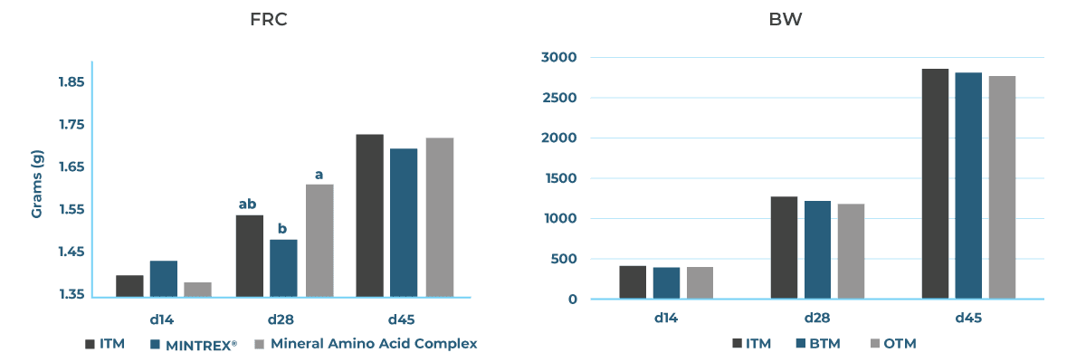 Optimizing Broiler Chick Performance Before They Hatch | Novus ...