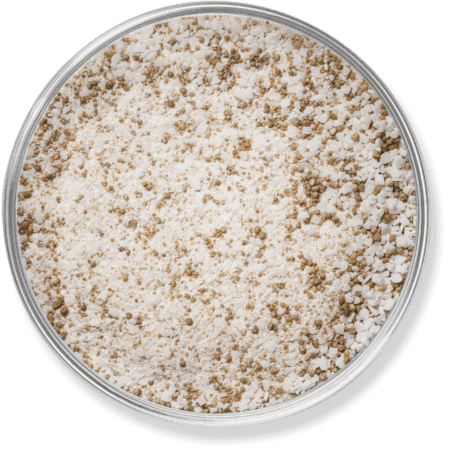 ACTIVATE® Nutritional Feed Acid | Novus International Swine Products