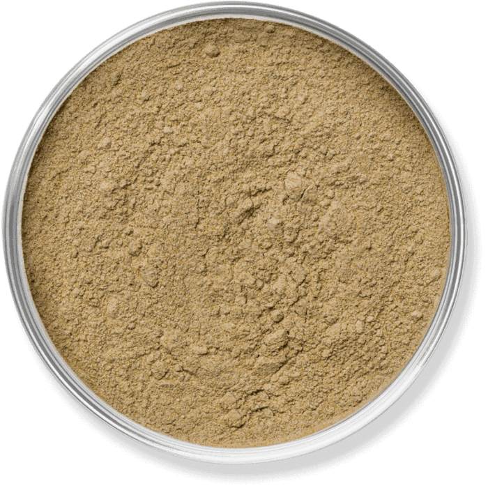 CIBENZA® Enzyme Feed Additive | Novus International Swine Products