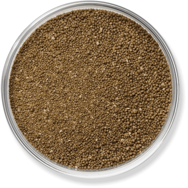 MFP® Feed Supplement | Novus International Dairy Products