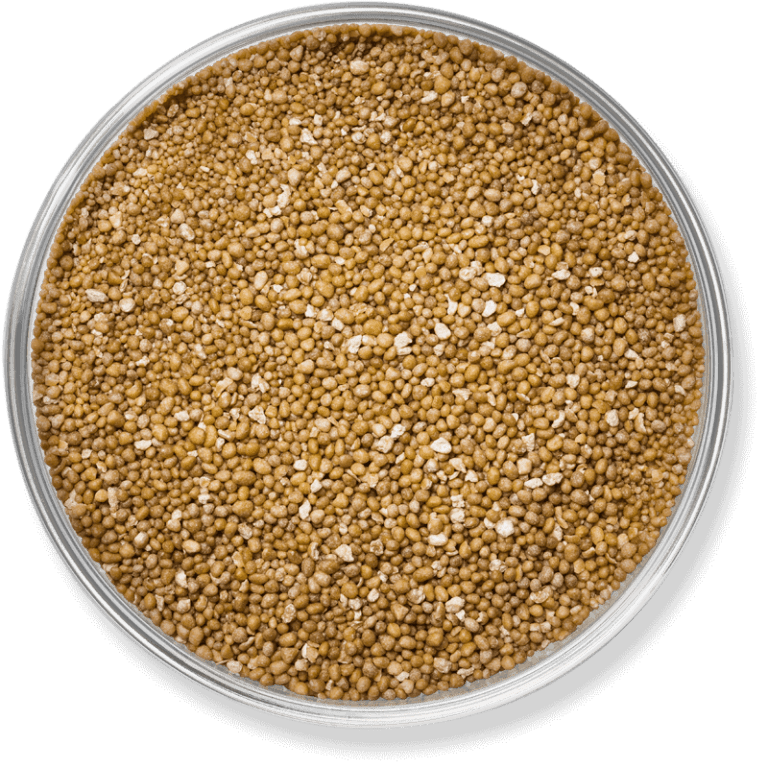 MHA® Feed Additive | Novus International, Inc.