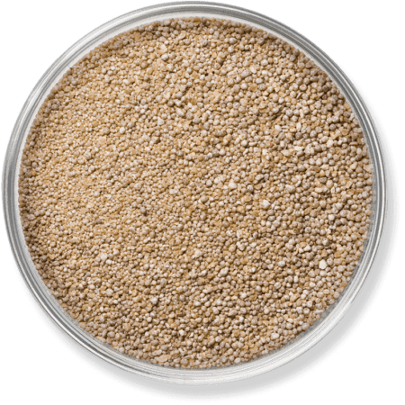 MINTREX® Trace Minerals | Novus International Dairy Products