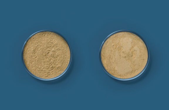 Enzyme | Novus International, Inc.