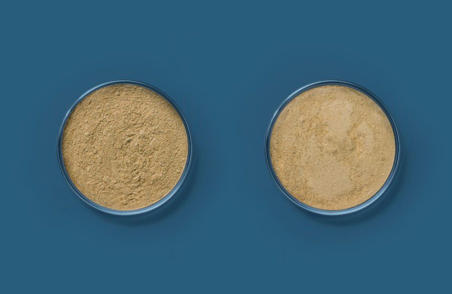 Enzyme | Novus International, Inc.