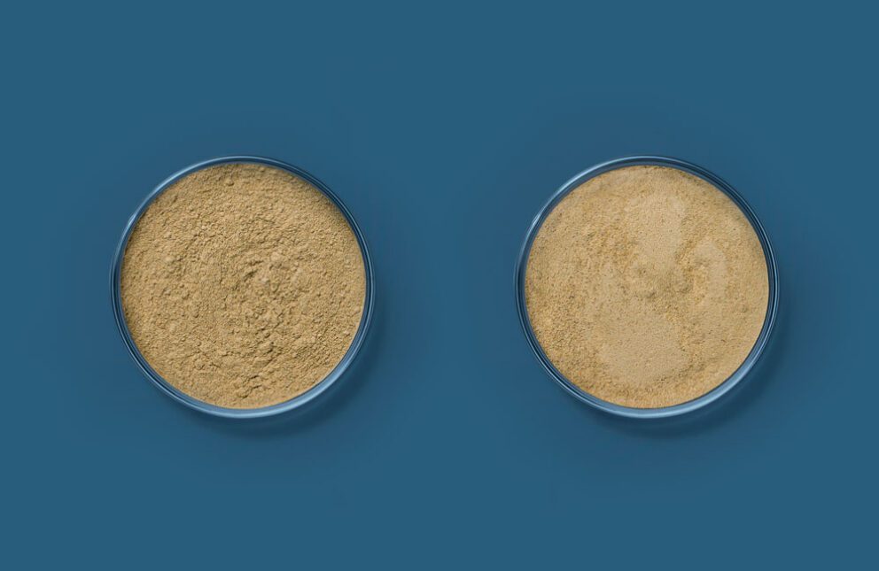 Enzyme | Novus International, Inc.