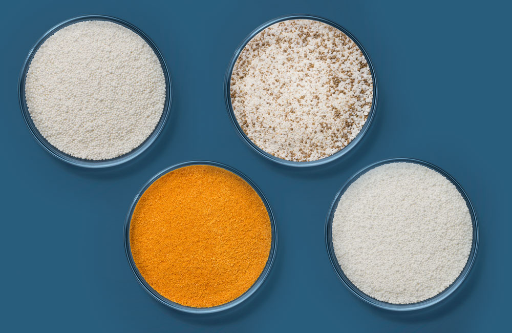 Eubiotics | Novus International, Inc.