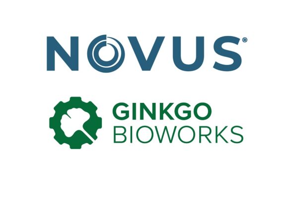 NOVUS Partnering with Biotech Company to Develop New Feed Additives ...