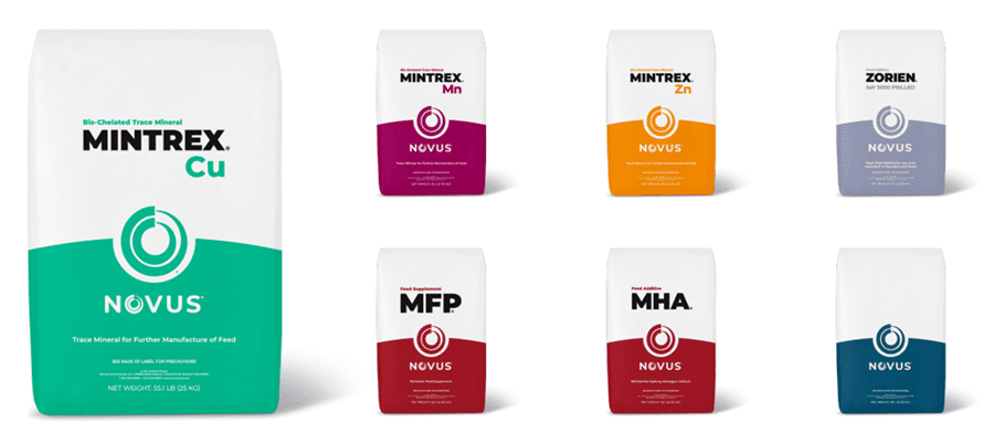 NOVUS Introduces New Logos for Enhanced Brand Cohesion and Visibility ...